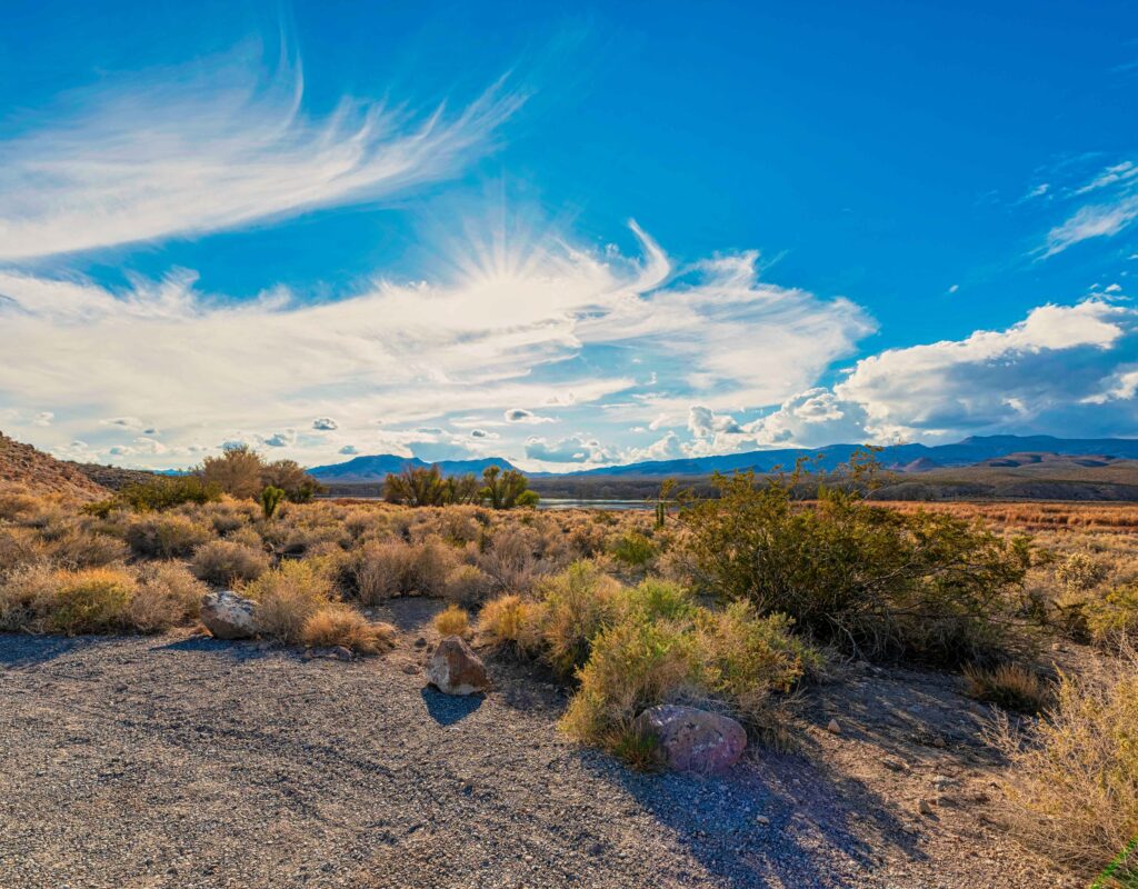 Alabama - Sixth Amendment Center